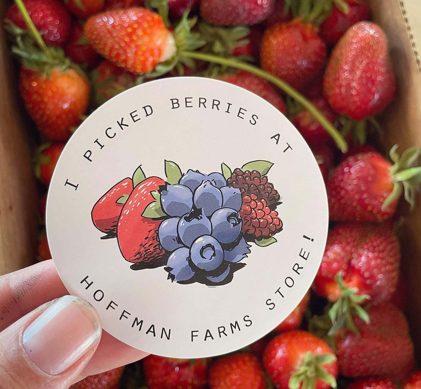U-Pick Farms - Oregon Strawberries